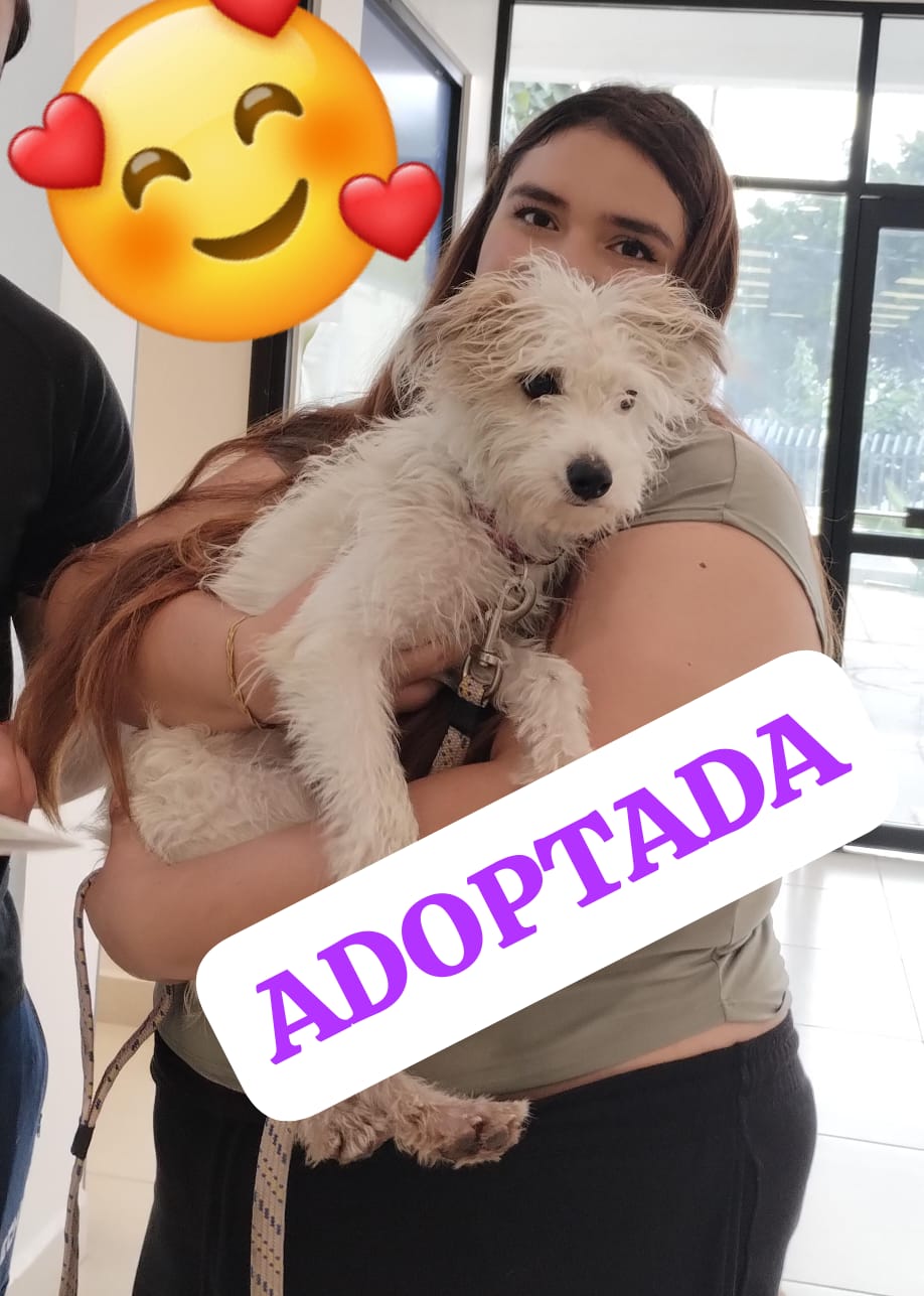 Protección Animal Zapopan